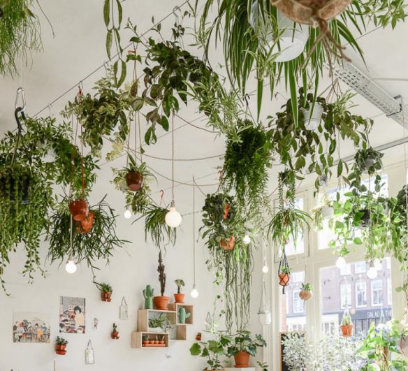 Restauration – Esat Berthier